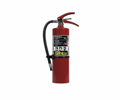 442257 ANSUL SENTRY 5LB FORAY EXTINGUISHER (AA05S) | National Fire Supply